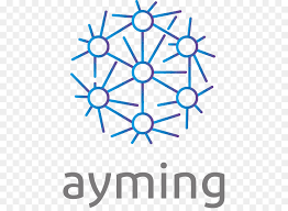 Ayming - eNEM